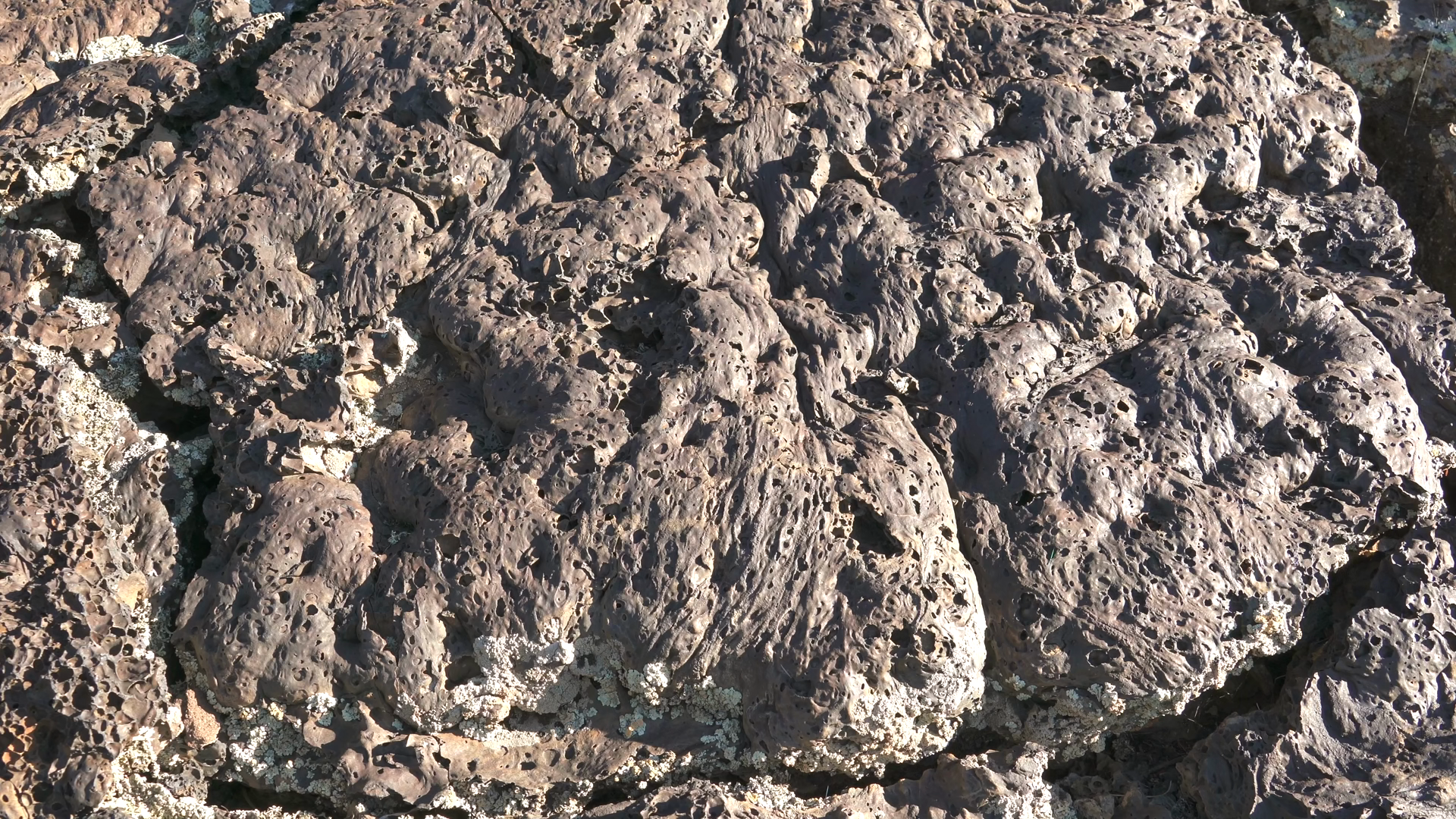 Frozen Basalt Lava Rocks Showing Porous Stock Footage SBV-353732312 ...