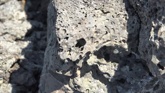 Porous Material Stock Footage: Royalty-Free Video Clips - Storyblocks