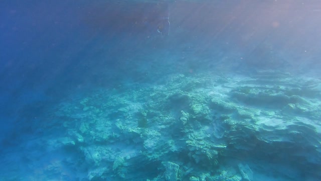 Deep Sea Underwater Stock Footage: Royalty-Free Video Clips - Storyblocks