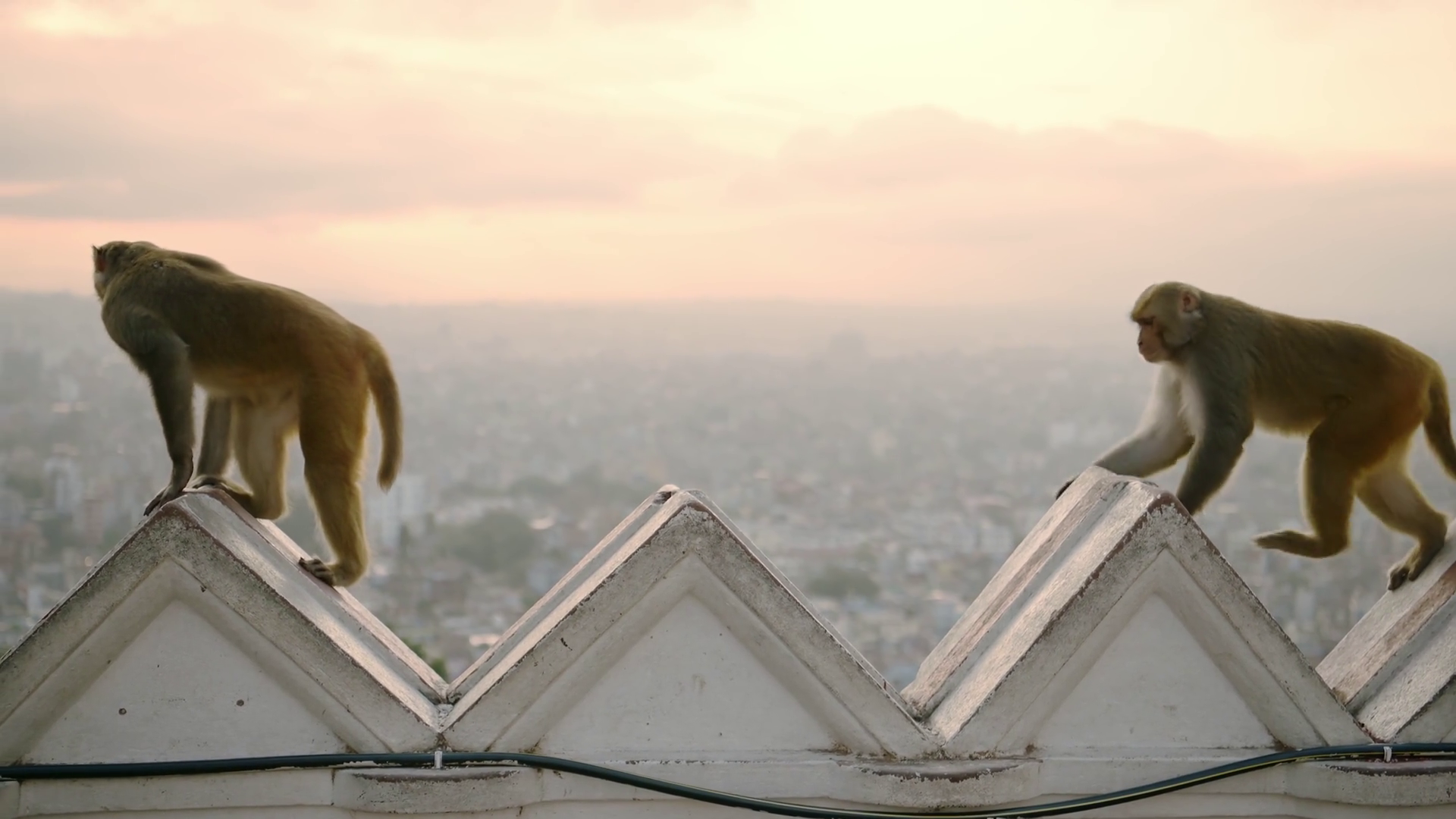 Monkey Temple In Kathmandu At Sunset In Stock Footage SBV-352921340 ...