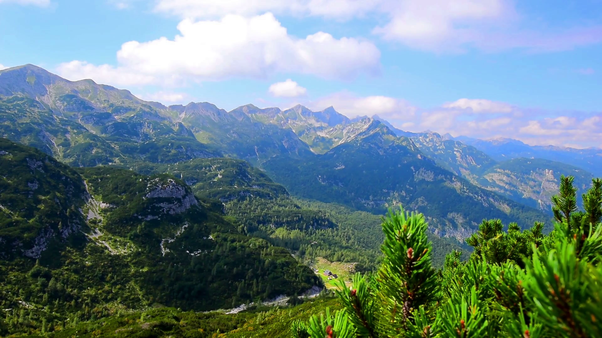 Natural Logo Reveal Intro Template SBV-311542755 - Storyblocks