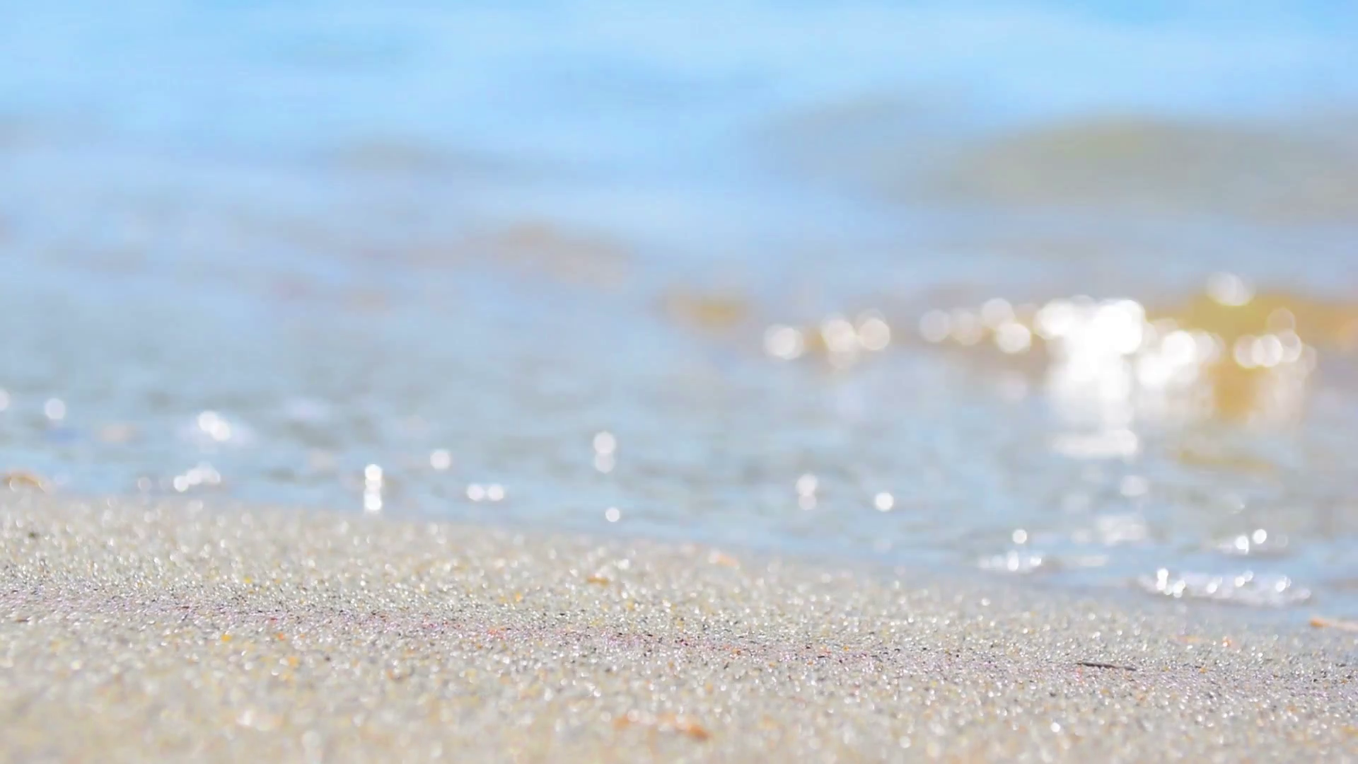 Natural Logo Reveal Intro Template SBV-311542992 - Storyblocks