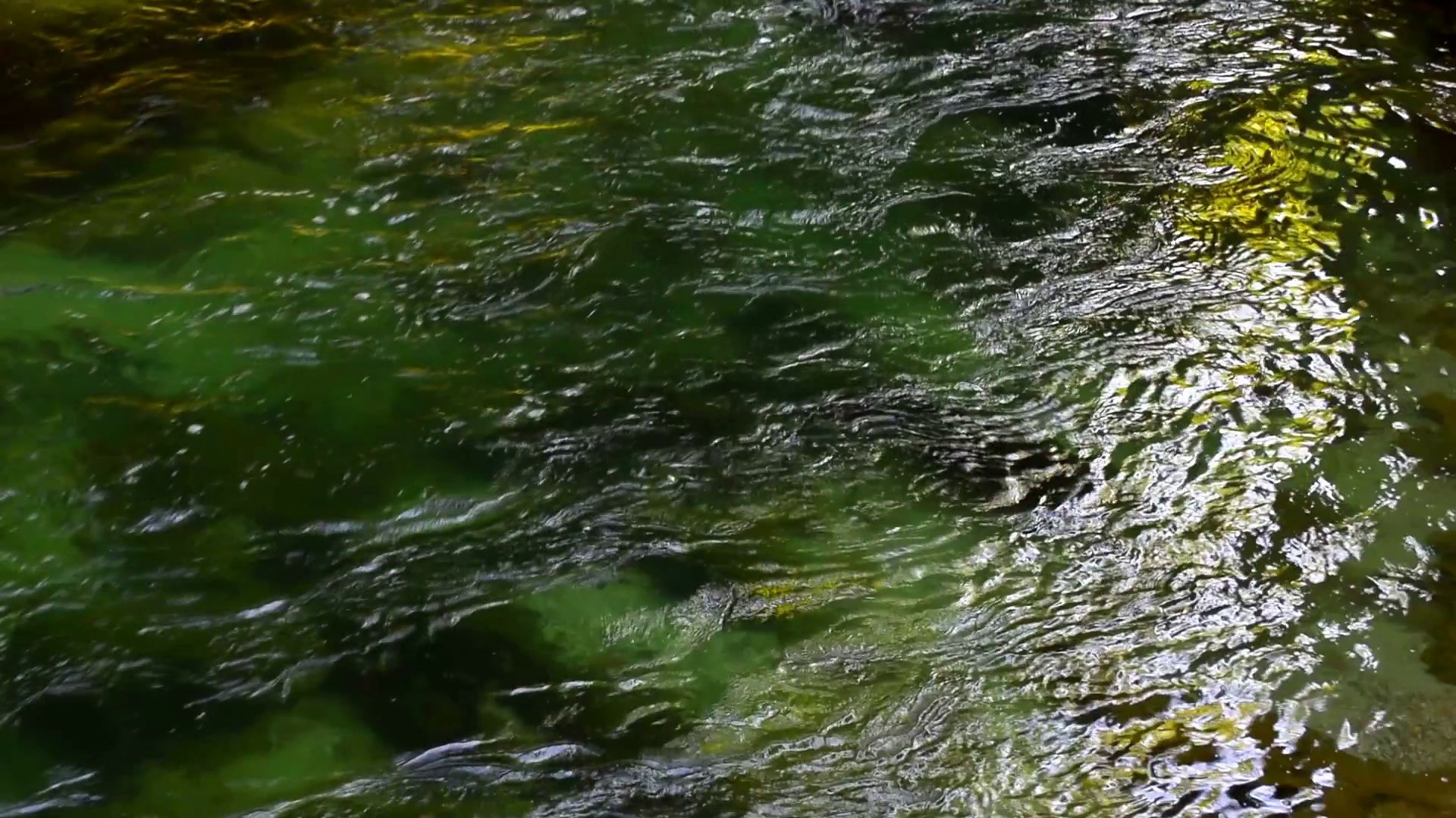 River Water Video Background Stock Footage SBV-309030943 - Storyblocks