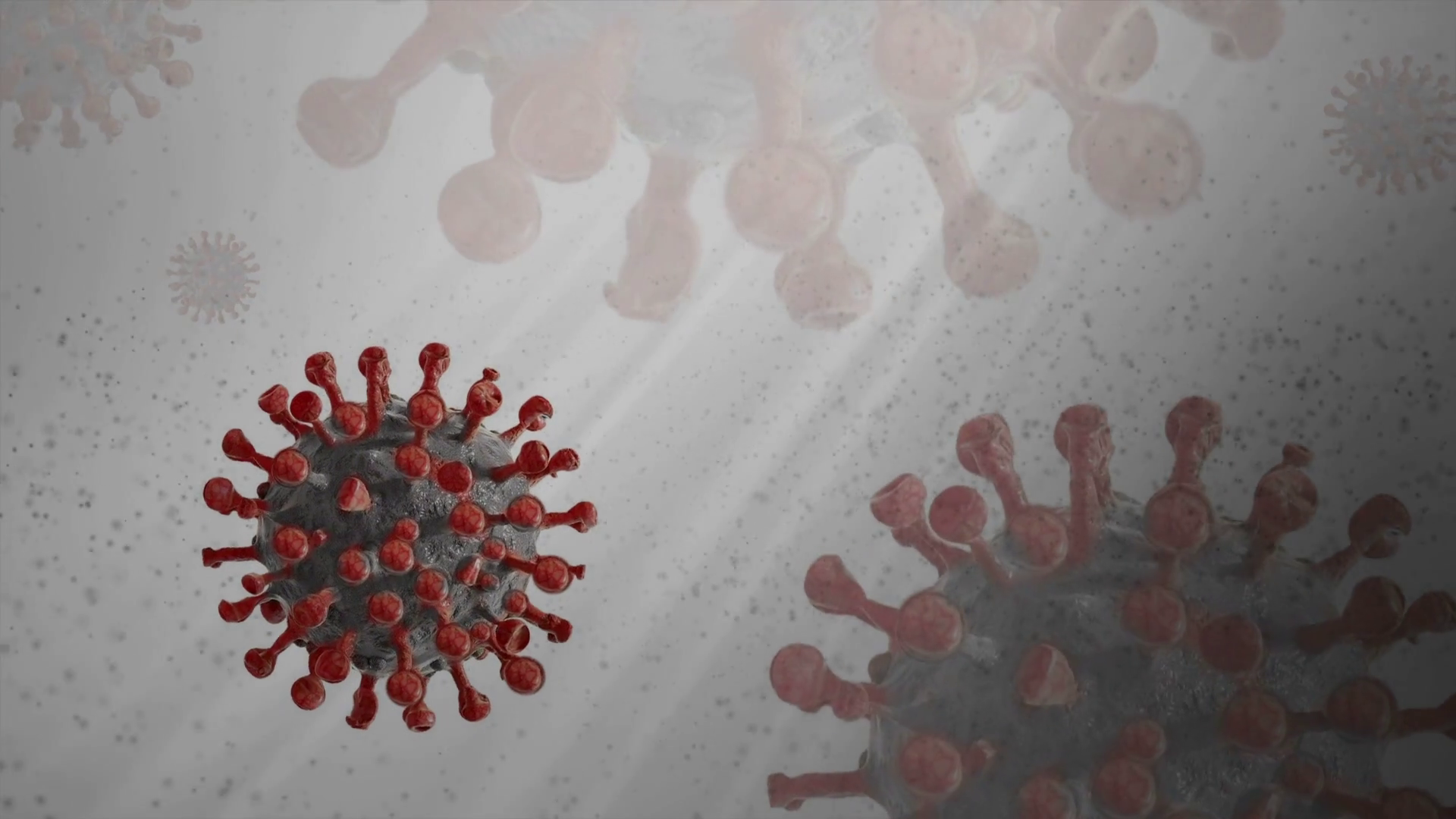 Virus Covid 19 Background Stock Motion Graphics SBV-338306374 - Storyblocks