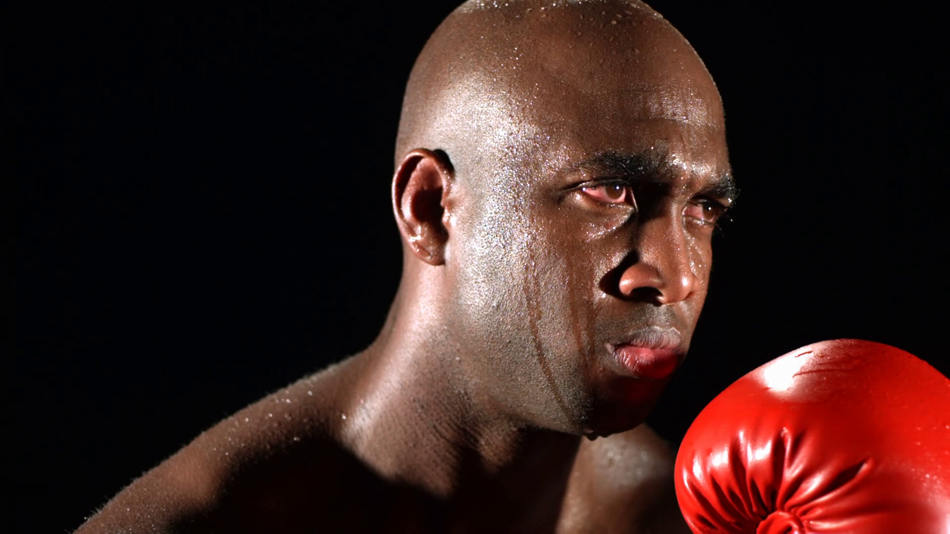 Boxer Gets Punched In Face Stock Footage SBV-348368923 - Storyblocks