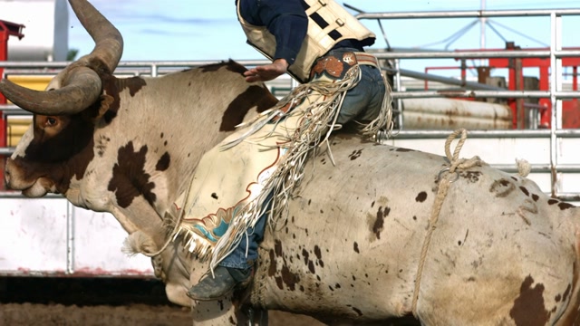 Bull Riding At The Rodeo Stock Footage: Royalty-Free Video Clips ...