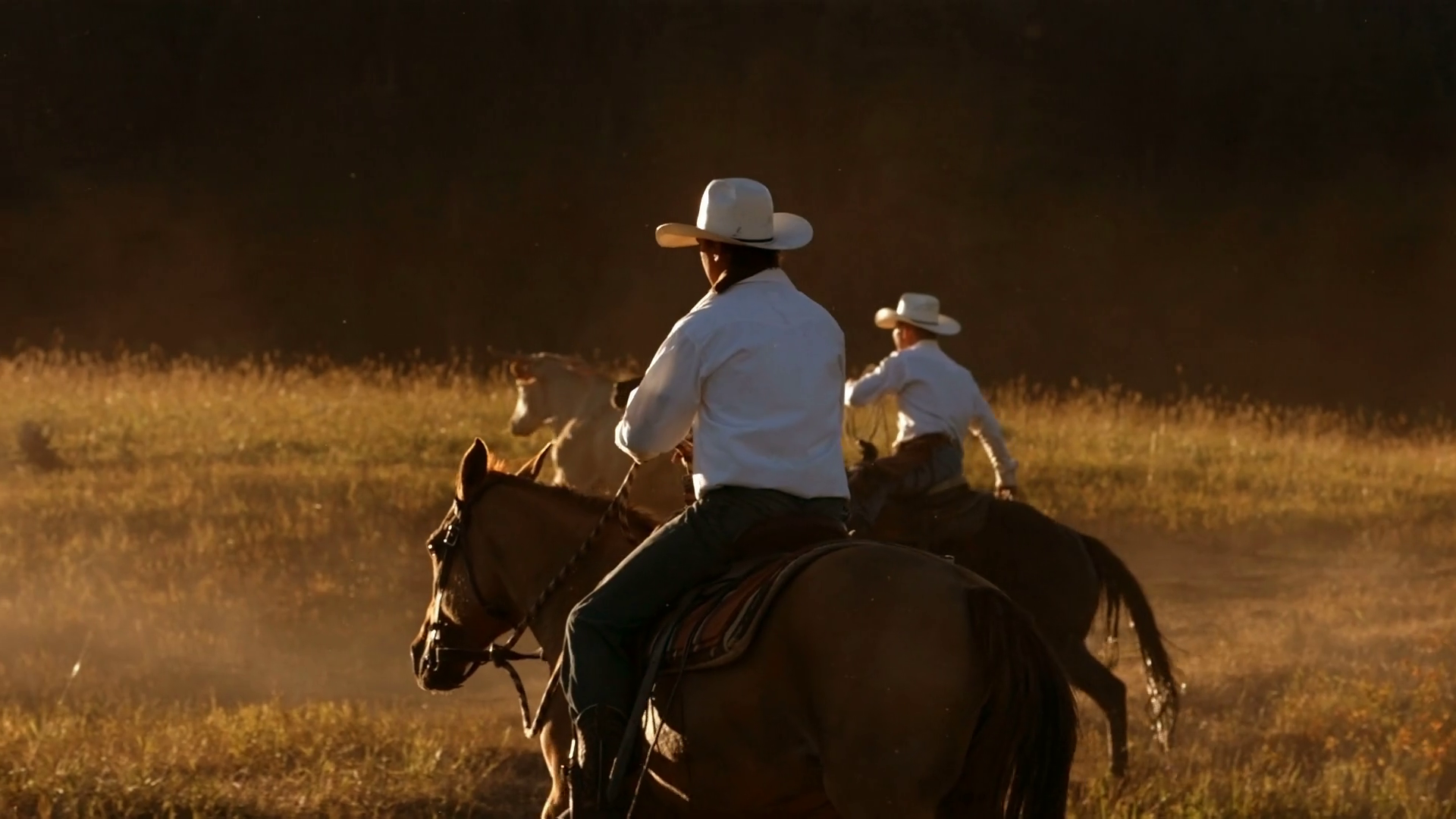 Cowboy On Horses At Sunset Slow Motion Stock Footage SBV-348370649 ...
