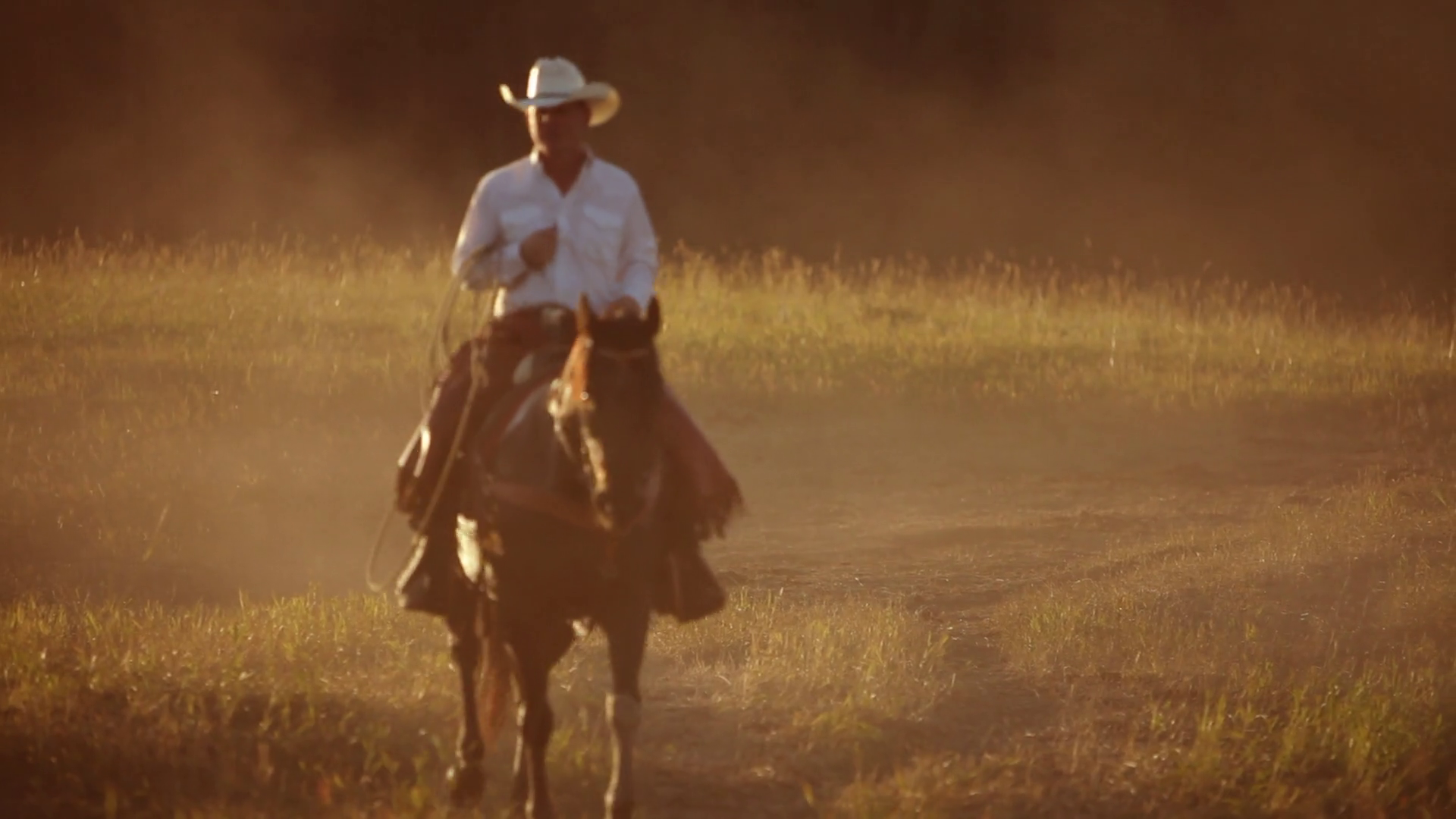 Portrait Of Cowboy On Horse Stock Footage SBV-348370646 - Storyblocks