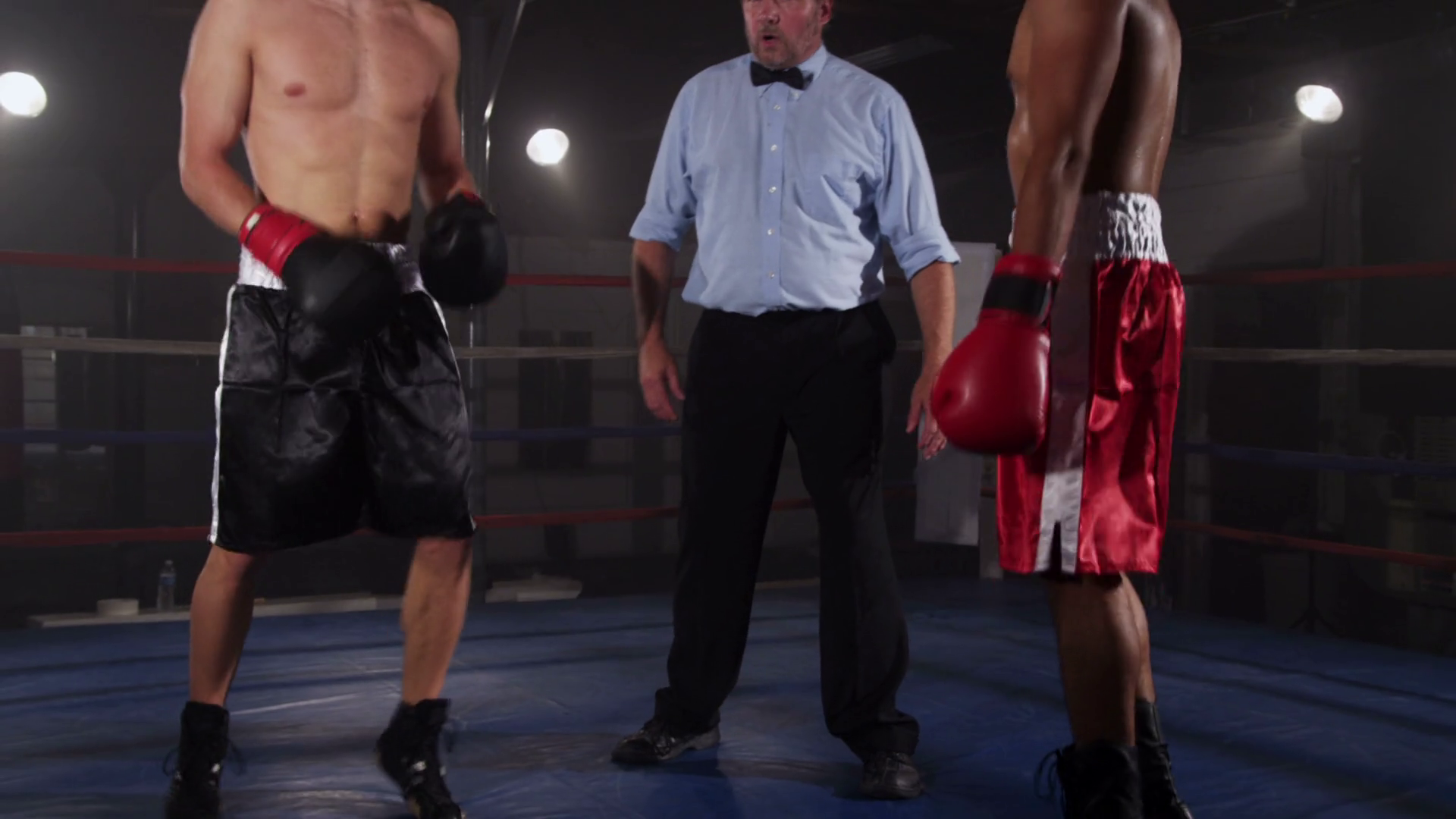 Referee Starts Boxing Match Stock Footage SBV-347578635 - Storyblocks