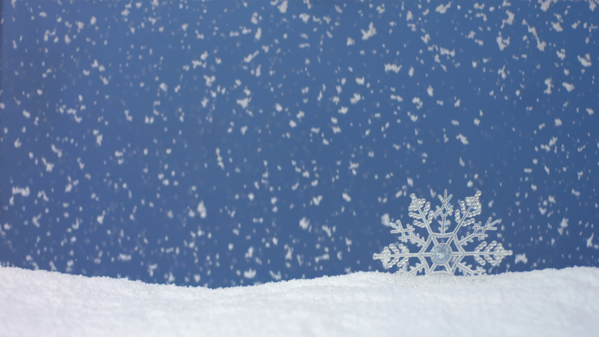 Snow Falling Winter Still Life Slow Motion Stock Footage SBV-347583082 ...