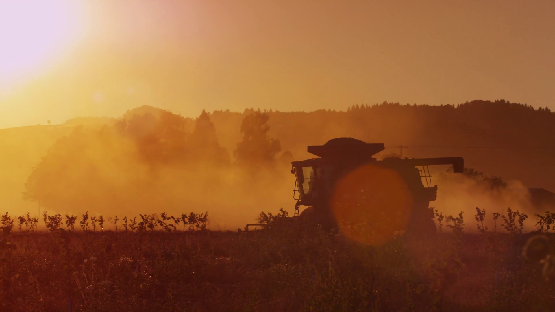 Combine Tractor In Field Harvesting At Sunset Stock Footage SBV ...