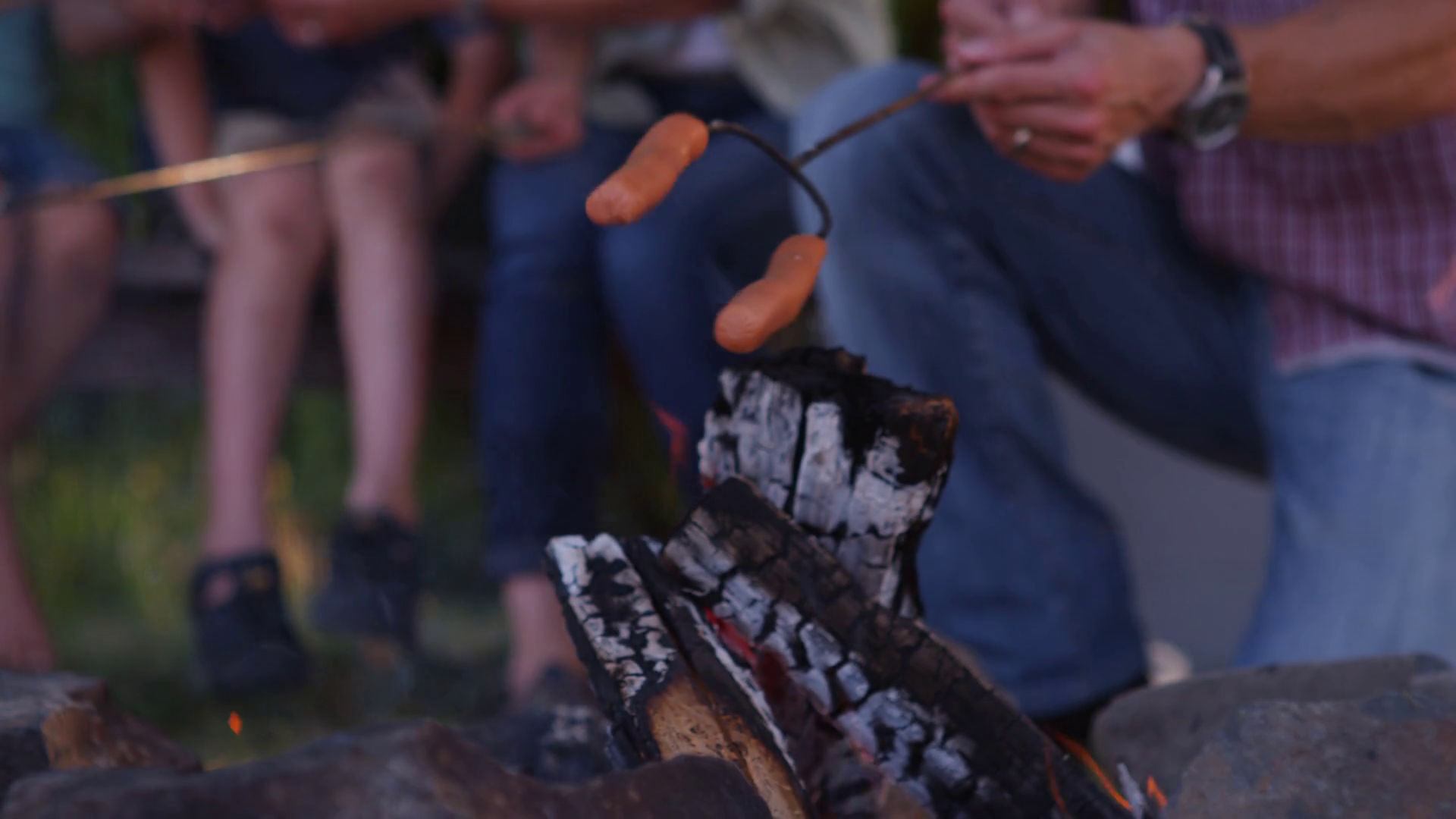 Family Cooking Hot Dogs On Campfire Stock Footage SBV-347591420 ...