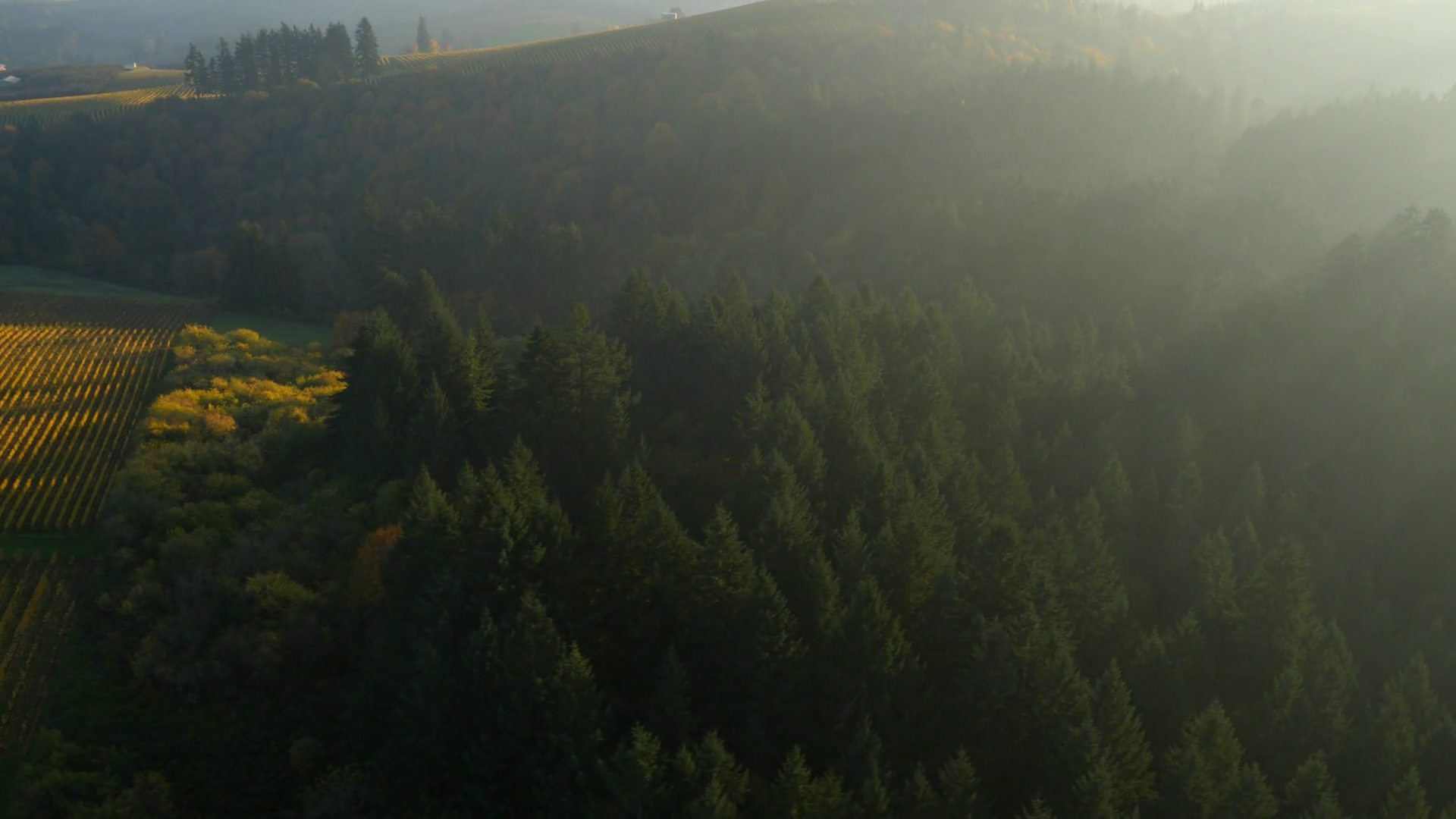Aerial Video Of Willamette Valley Oregon Stock Footage SBV-347593996 ...