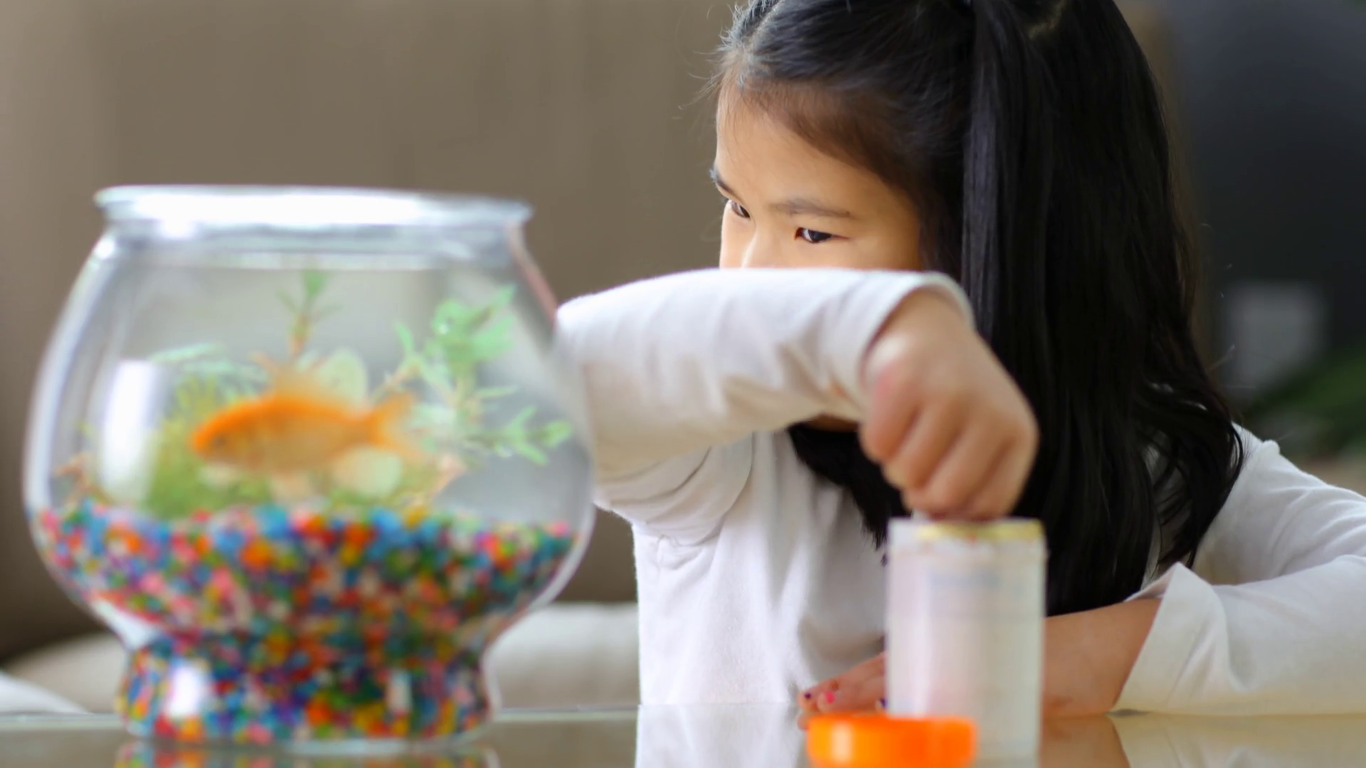 Child Feeding Fish In Bowl Stock Footage SBV-347595389 - Storyblocks