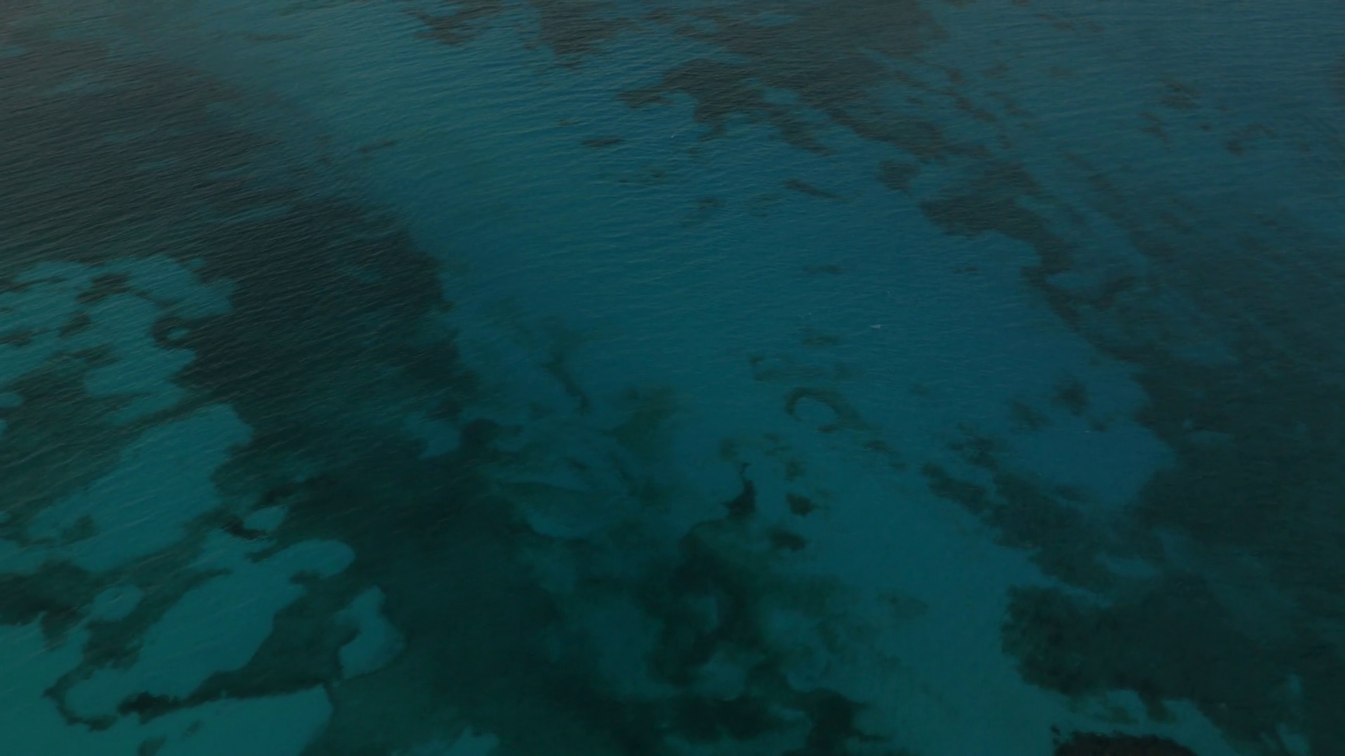 Aerial View Of Shallow Ocean Reef In Cancun Stock Footage SBV-347609515 ...