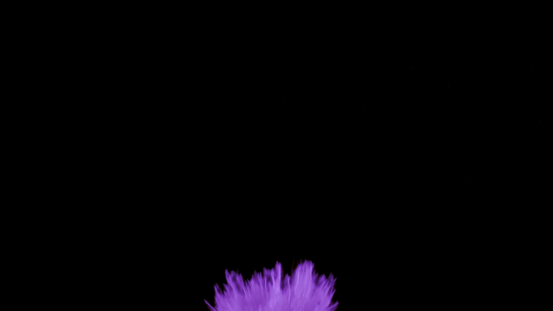 Purple Powder Exploding On Black Background Stock Footage SBV-347654015 ...