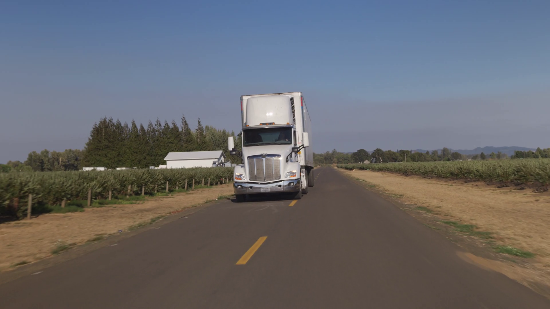 Semi Truck Driving On Rural Road Fully Stock Footage SBV-347679031 ...