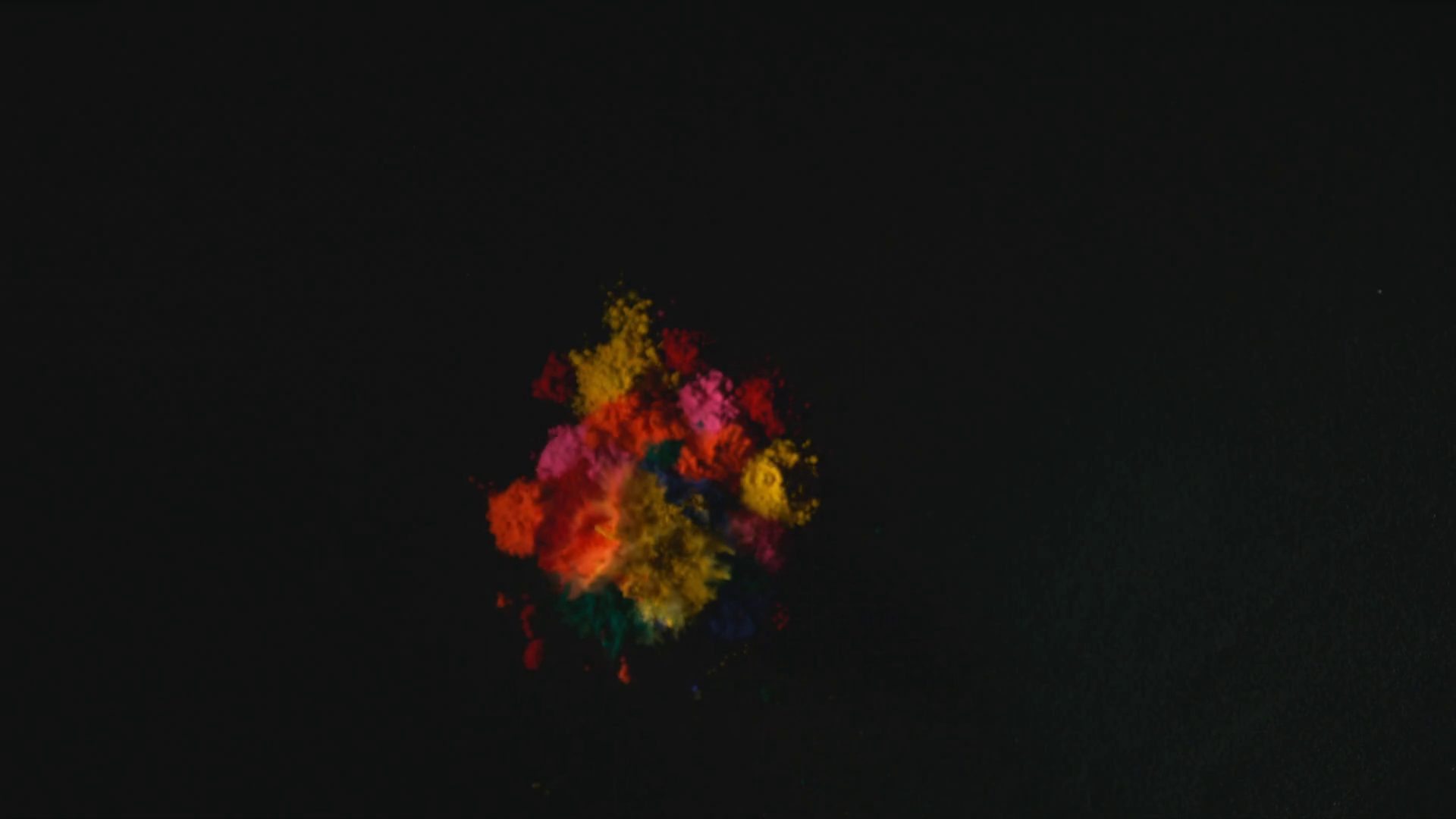 Colorful Powder Exploding On Black Stock Footage SBV-347683249 ...
