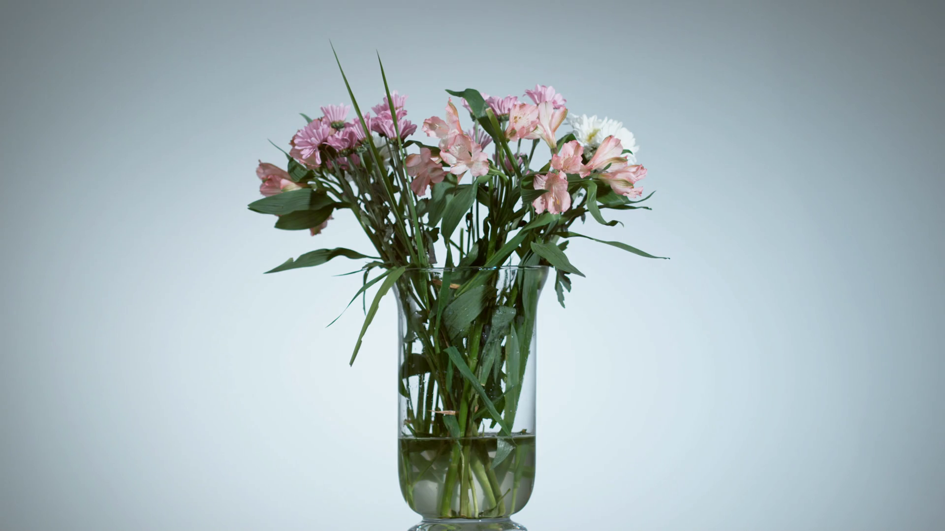 Vase With Fresh Flowers Shattering In Super Stock Footage SBV-347686459 ...