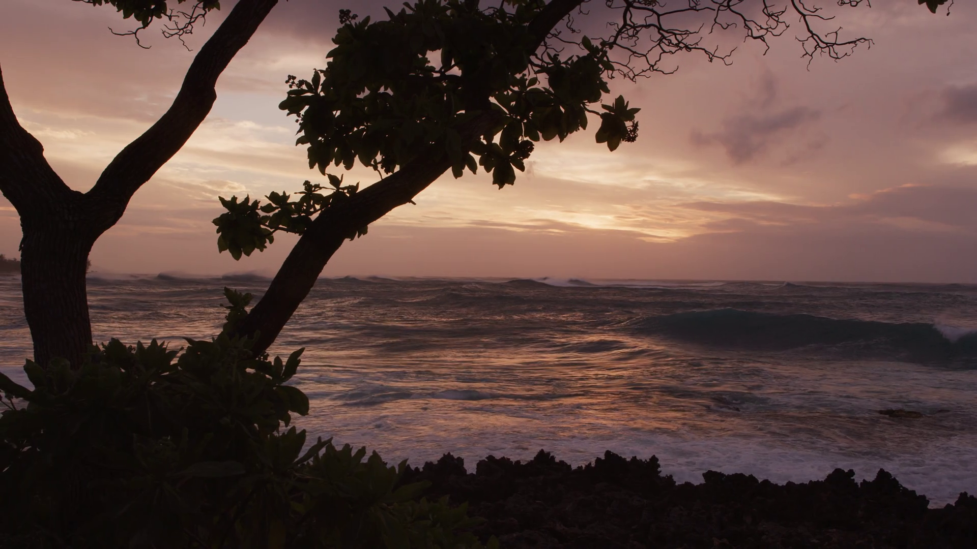 Sunset At Beach On North Shore Of Oahu Hawaii Stock Footage SBV ...