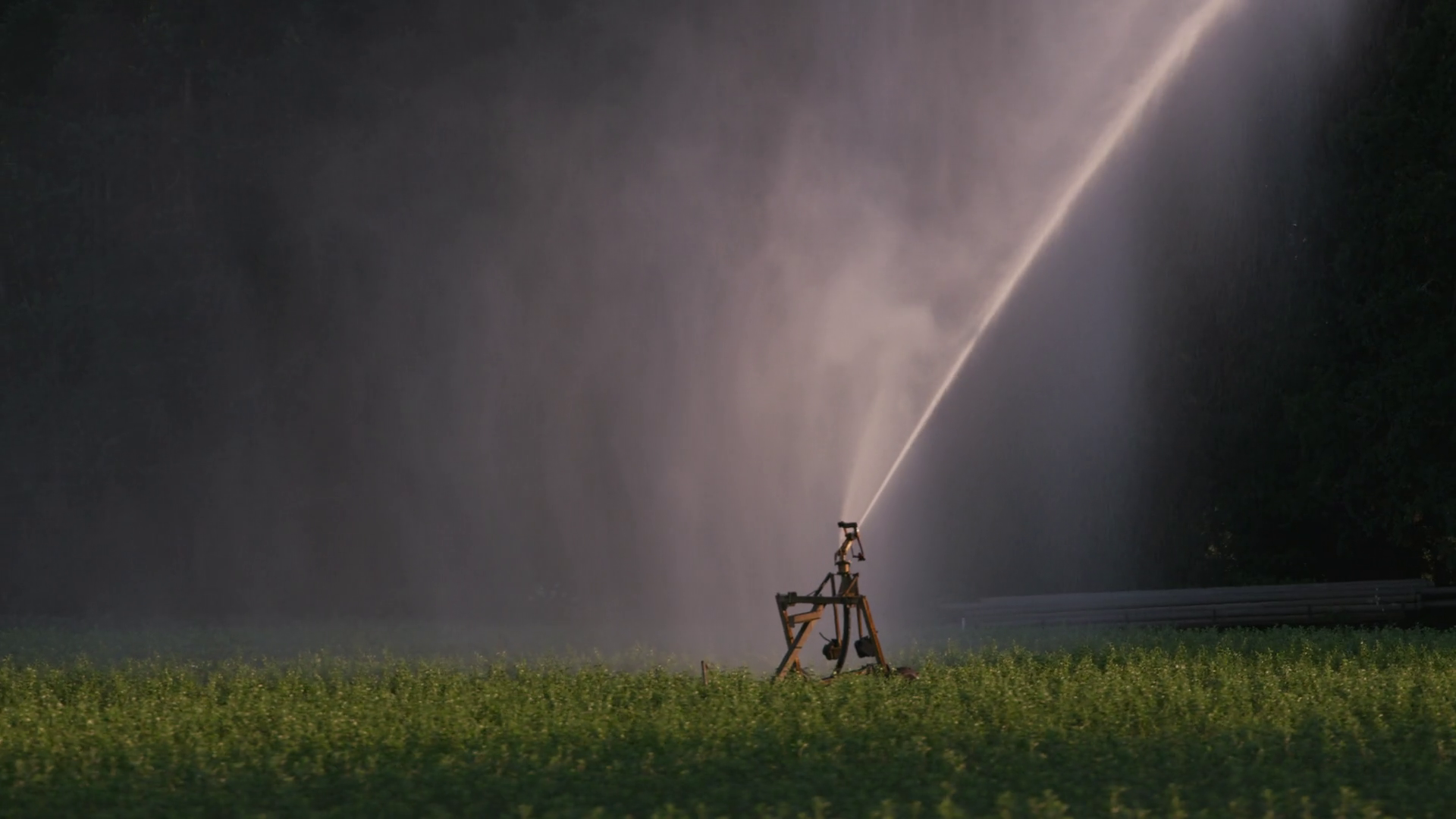 Sprinkler Spraying Farm Field In Oregon Stock Footage SBV-347697286 ...