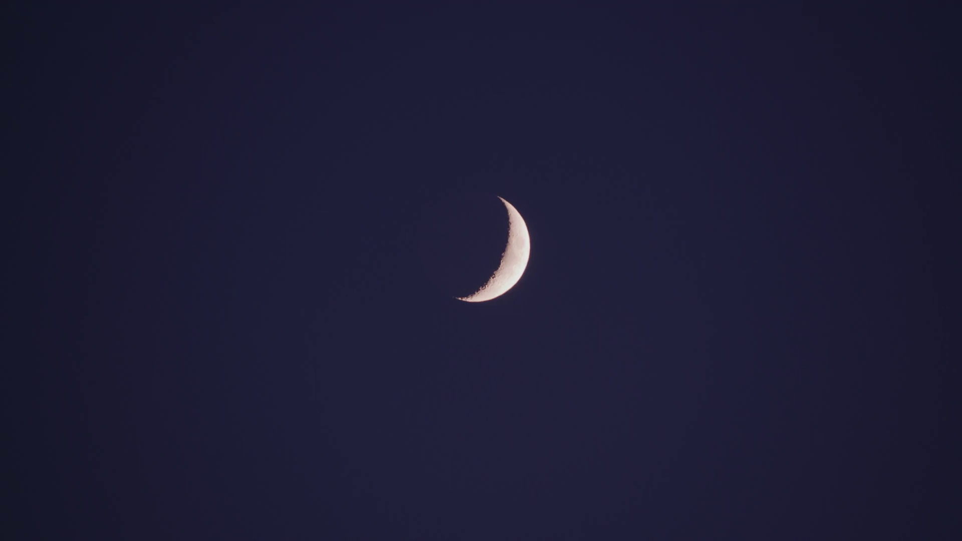 Crescent Moon With Trees In Foreground Stock Footage SBV-347697321 ...