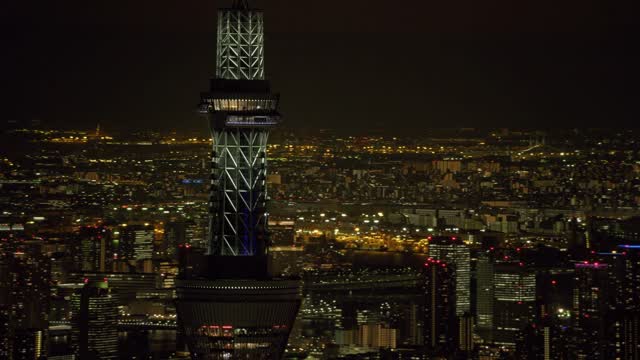 Sky Tree Stock Footage: Royalty-Free Video Clips - Storyblocks