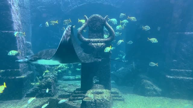 Atlantis Stock Footage: Royalty-Free Video Clips - Storyblocks