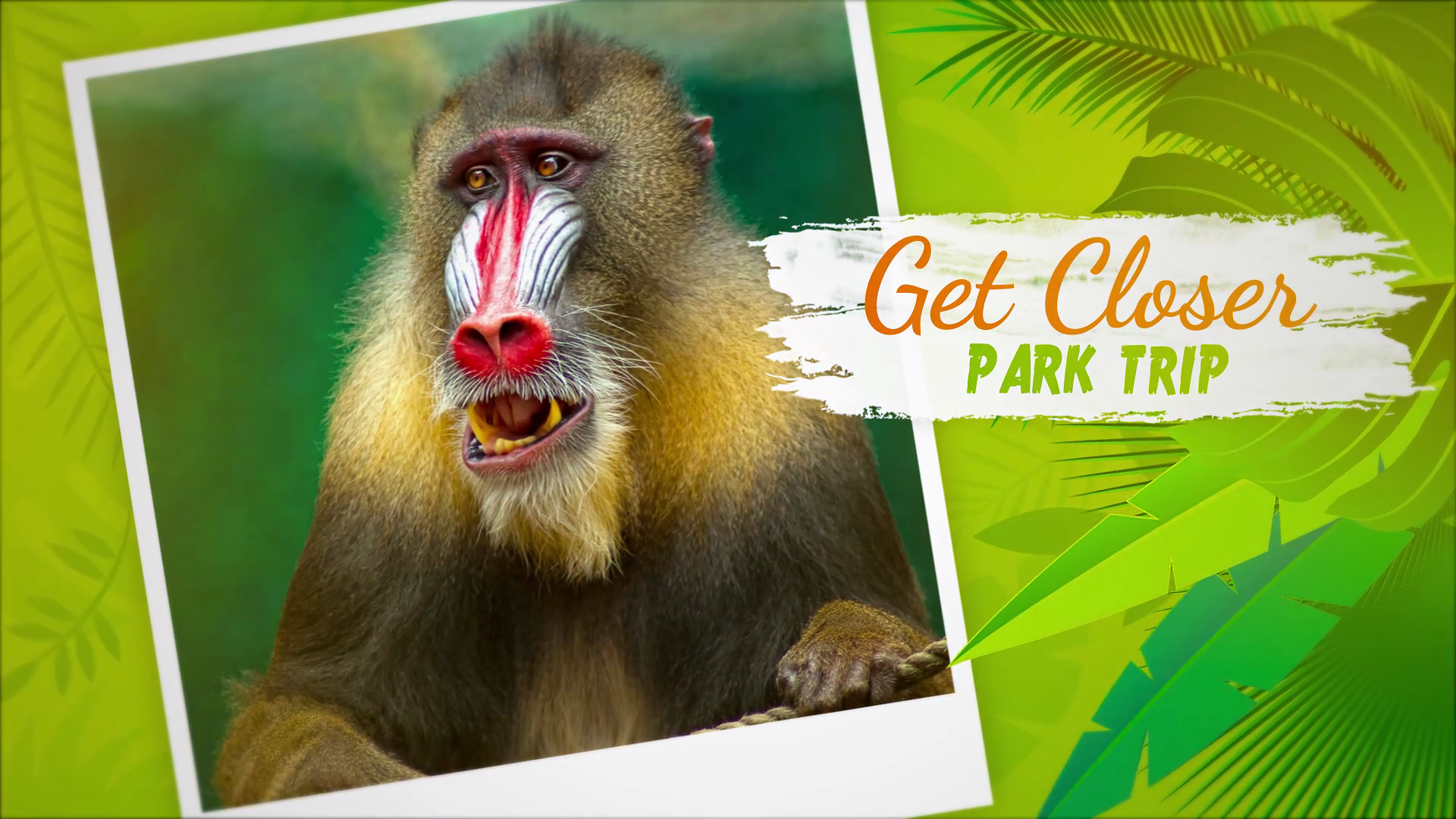 AE Template: Animals World Slideshow Nature Wildlife SBV-353666907 ...
