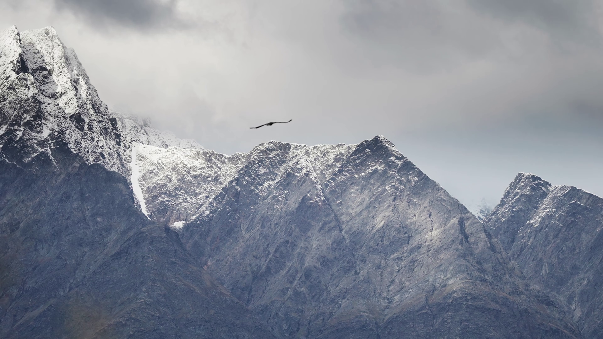 A Mighty Eagle Flying Above Snow-capped Stock Footage SBV-352555346 ...