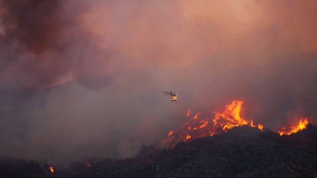 Stock Footage: Royalty-Free Video Clips - Storyblocks