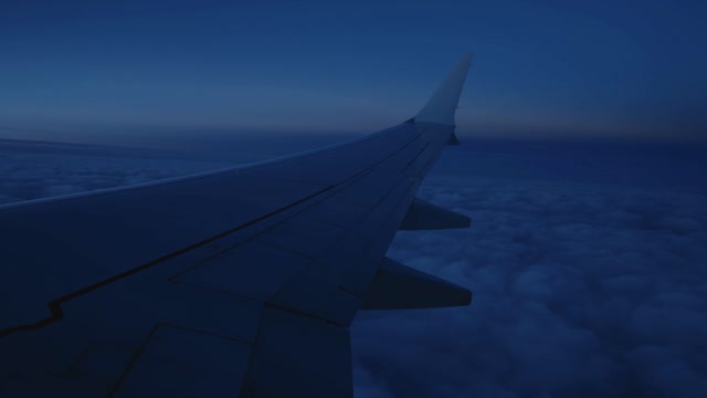 Enjoying Digital Stock Footage: Royalty-Free Video Clips - Storyblocks