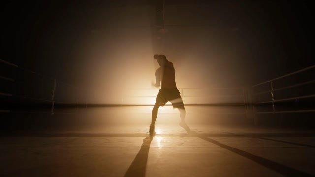 Fighter Shadow Stock Footage: Royalty-Free Video Clips - Storyblocks