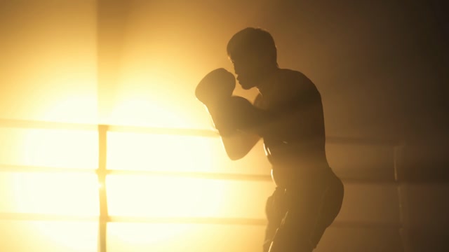 Mma Fans Stock Footage: Royalty-Free Video Clips - Storyblocks