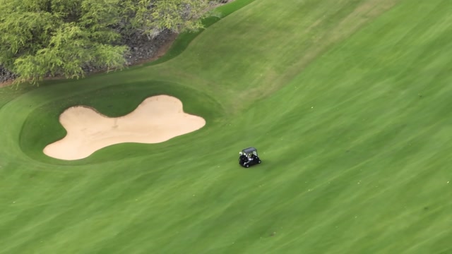 Download Animated Calm Moving Video Backgrounds - Storyblocks