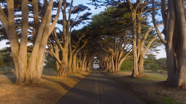 Vision Path Stock Footage: Royalty-Free Video Clips - Storyblocks