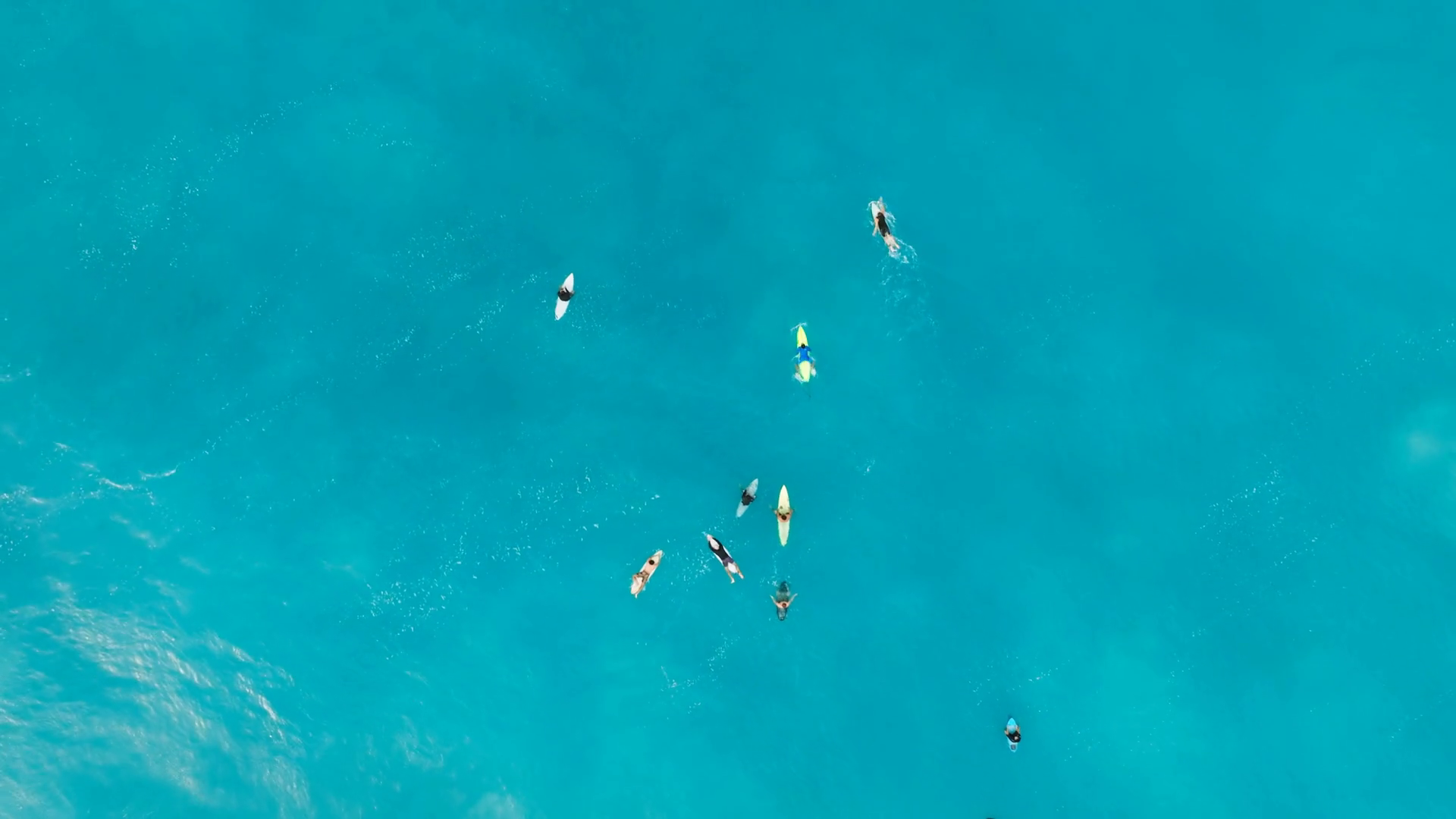 Overhead View Of Surfers On Surfboards In Stock Footage SBV-347777458 ...