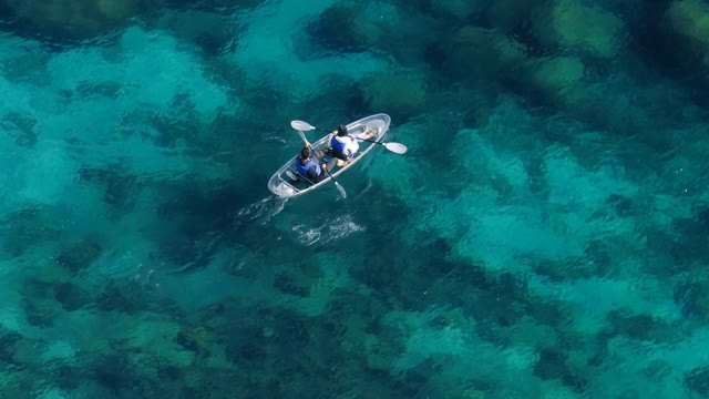 Go Kayaking Stock Footage: Royalty-Free Video Clips - Storyblocks