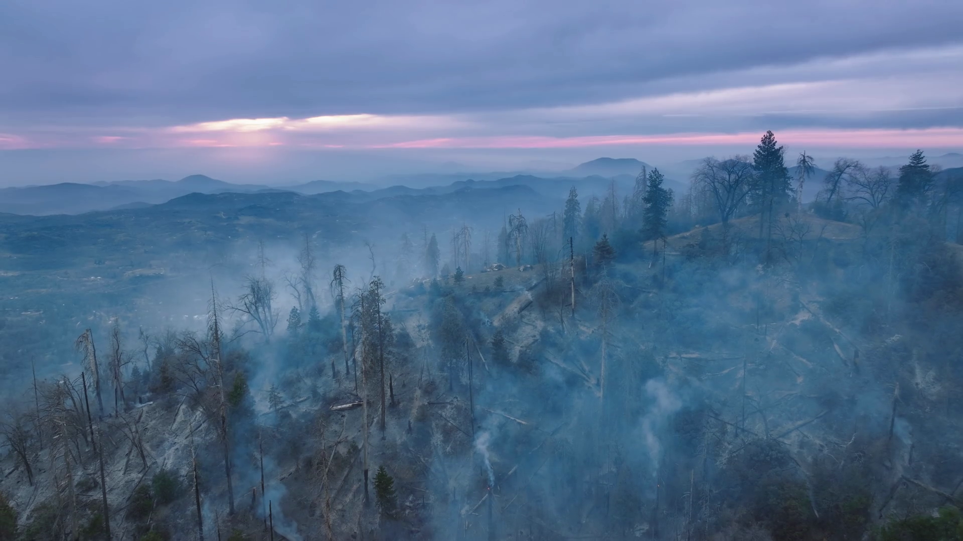 Dense Thick Smog Above Giant Sequoia Forest Stock Footage SBV-347769697 ...