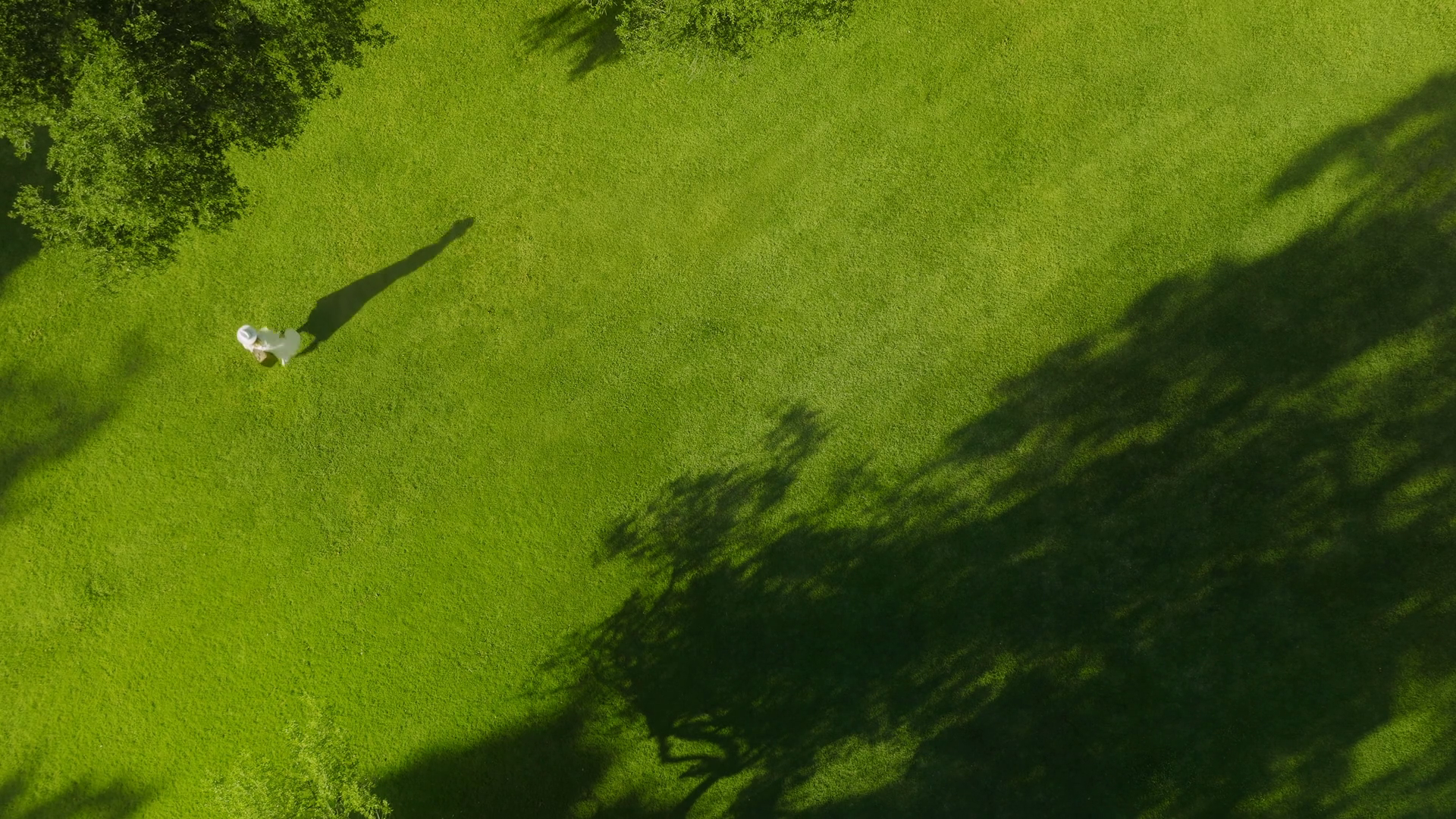 Overhead Shadow Silhouette Woman Walking Stock Footage SBV-347773710 ...