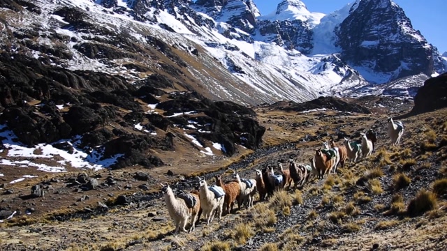 Andes Mountains People Stock Footage: Royalty-Free Video Clips ...