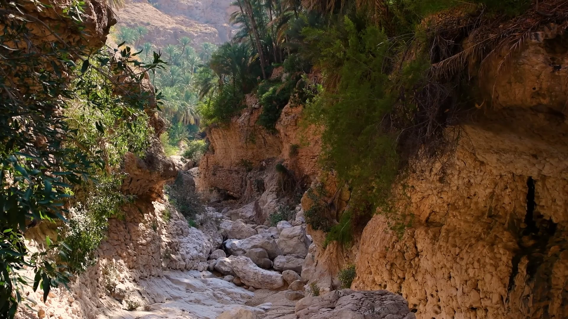 Wadi Shab Al Fahal Village In Oman Scenic Stock Footage SBV-352939848 ...