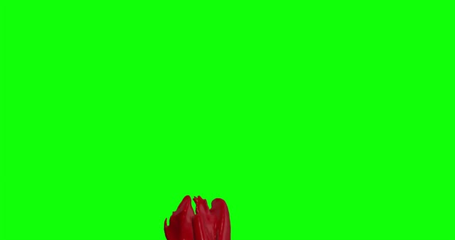 Gunshot Green Screen Stock Footage: Royalty-Free Video Clips - Storyblocks