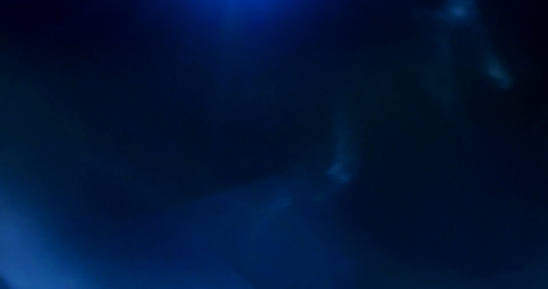 Frantic Light Leaks Transition Overlay 60fps Stock Motion Graphics SBV ...