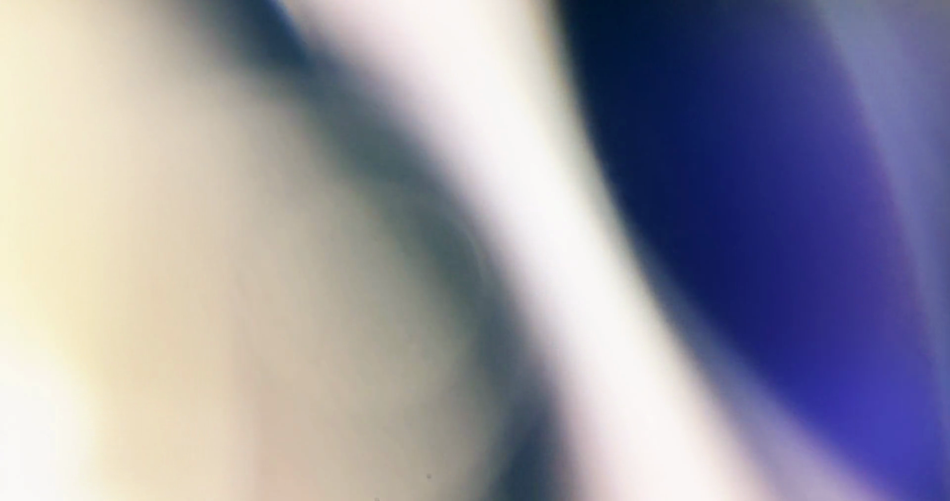 Fabulous Light Leaks Transition Overlay 60fps Stock Motion Graphics SBV ...