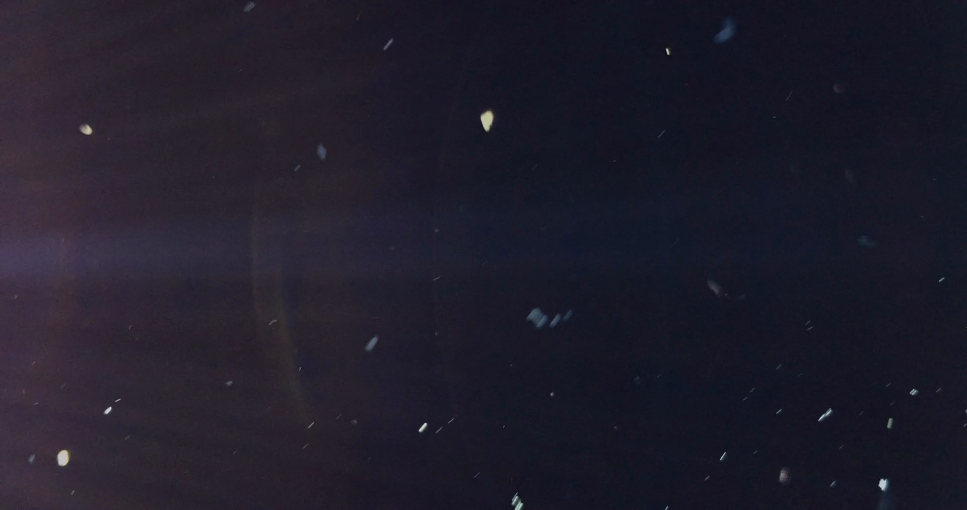 Organic Dust Particles With Lens Flares In Various Sizes Stock Video ...