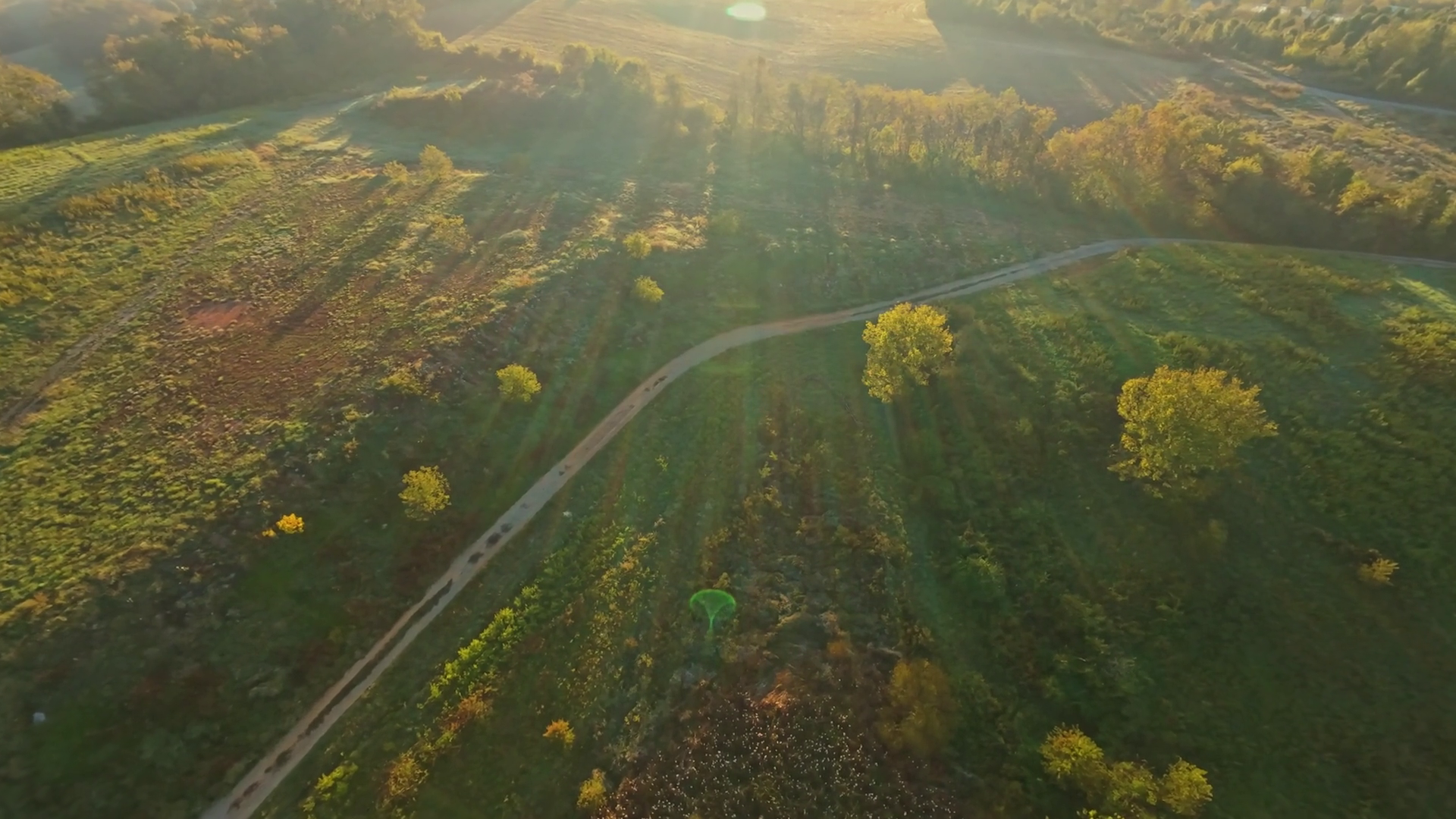 Aerial View Of Sunlit Path Through Scenic Stock Footage SBV-351969188 ...