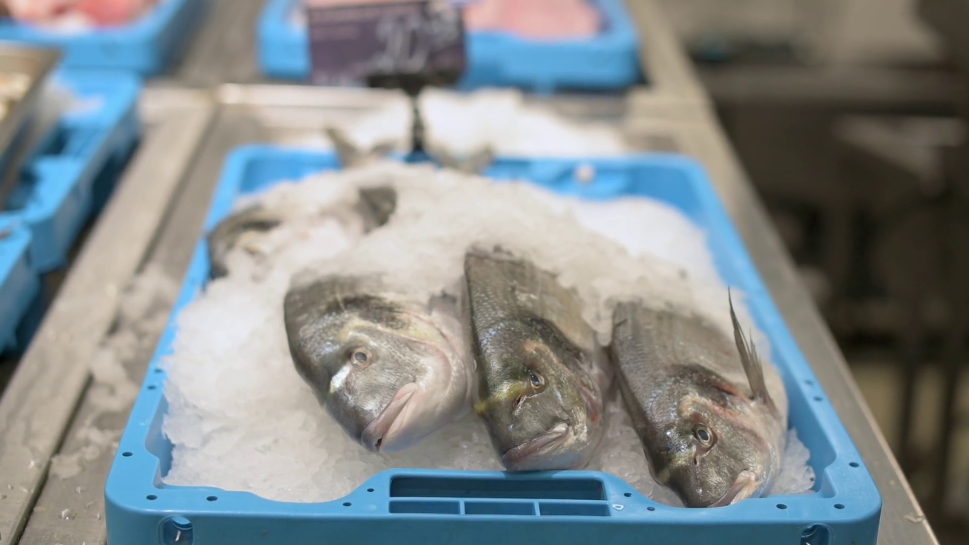 Fresh Fish On Ice At Seafood Market Whole Stock Footage SBV-351856116 ...