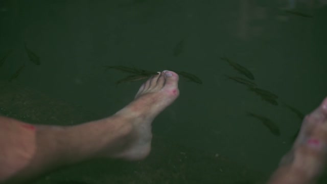 Human Eating Fish Stock Footage: Royalty-Free Video Clips - Storyblocks