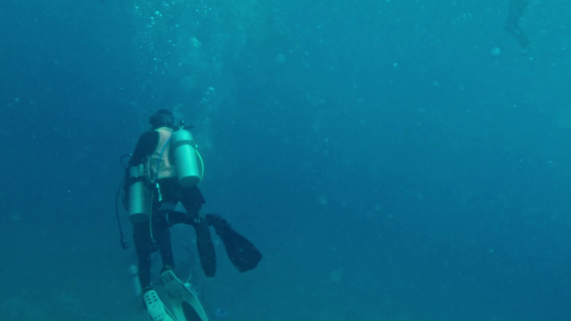 Scuba Divers Exploring Underwater World In Stock Footage SBV-352362438 - Storyblocks